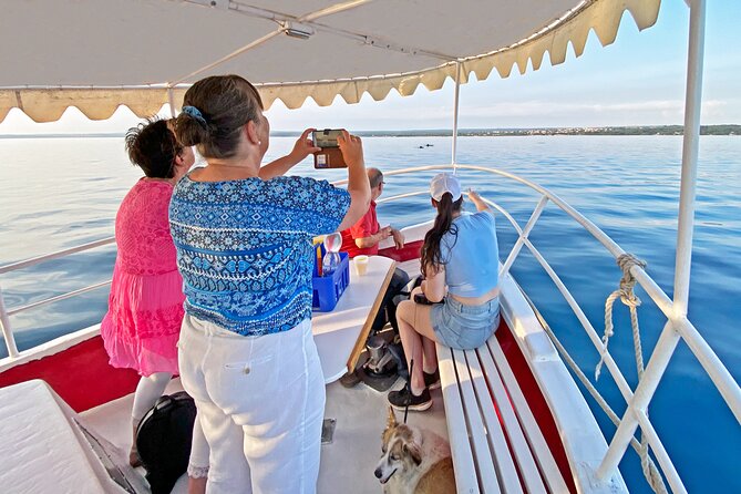 2-Hour Dolphin Guided Safari NP Brijuni from Fazana - Who Is This Tour Best For?