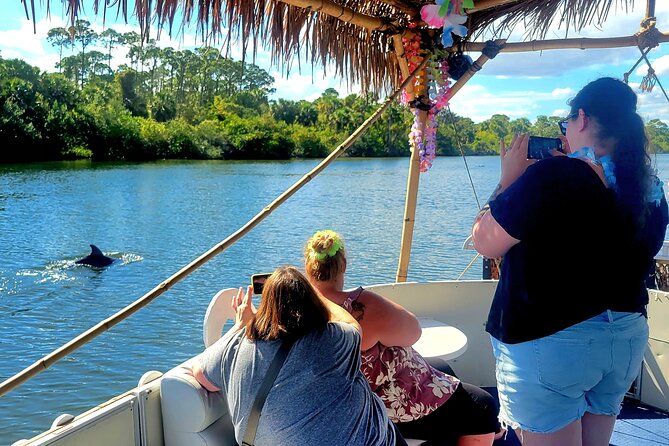 2 hour Dolphin Sightseeing Tour in Melbourne Florida - The Experience: What You Can Expect