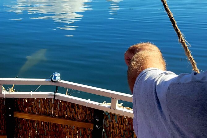 2 hour Dolphin Sightseeing Tour in Melbourne Florida - Final Thoughts: Who Will Love This Tour?