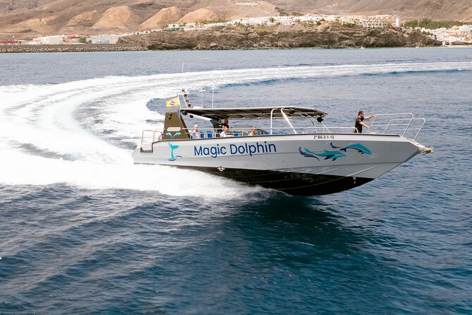 2-Hour Dolphin Watching Experience in Fuerteventura - The Sum Up