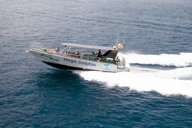 2-Hour Dolphin Watching Experience in Fuerteventura - FAQ
