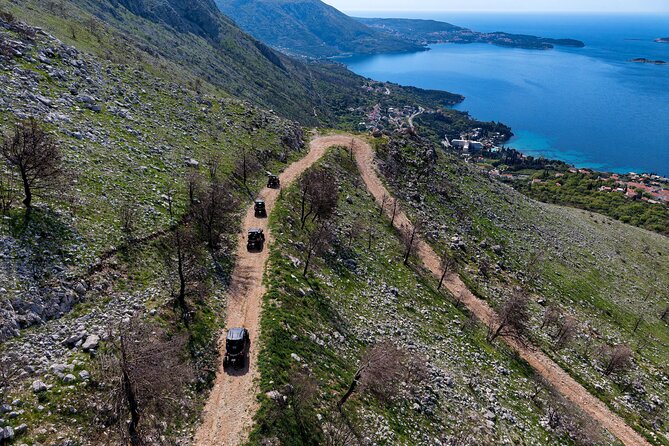 2-Hour Dubrovnik Private Buggy Panorama Safari - Positive Customer Feedback