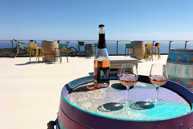 2-Hour e-bike Tour with Wine Tasting in Tenuta delle Ripalte - Pedaling Through Elba’s Natural Splendor