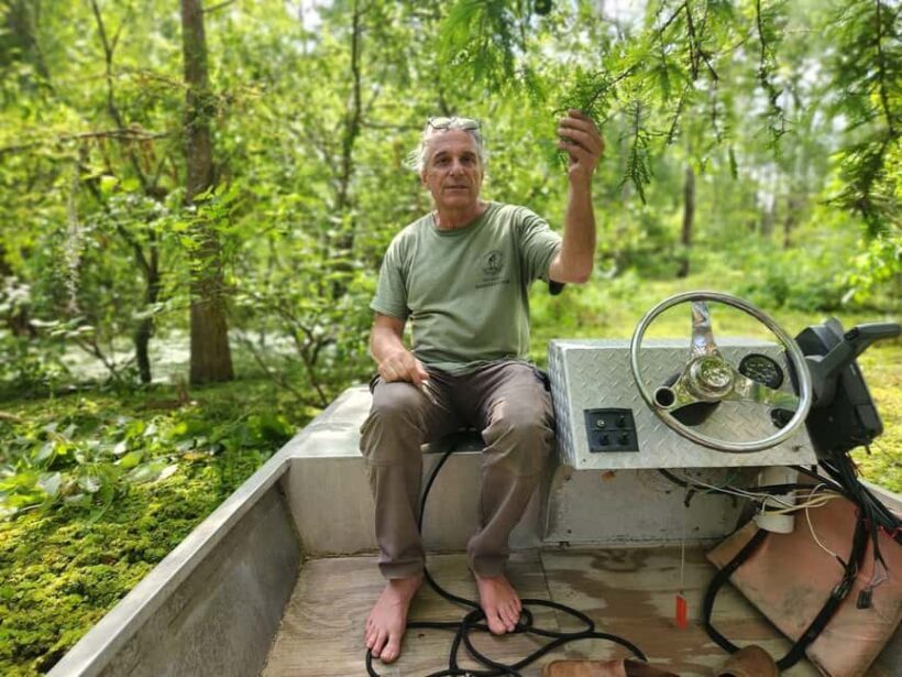 2-hour Eco-Swamp Tour - Key Points