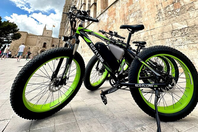 2-Hour Exclusive Fat Tire E-Bike Tour in Palma - Customer Feedback