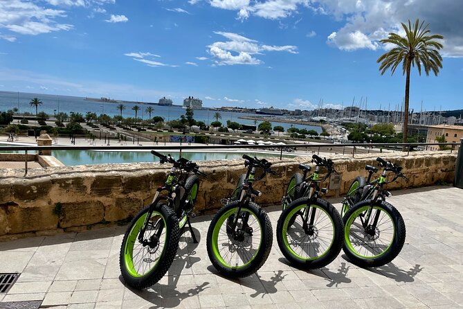 2-Hour Exclusive Fat Tire E-Bike Tour in Palma - Tour Highlights