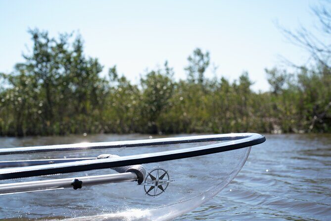 2-Hour Glass Bottom Guided Eco Tour in Flagler County-Small-group - Key Points