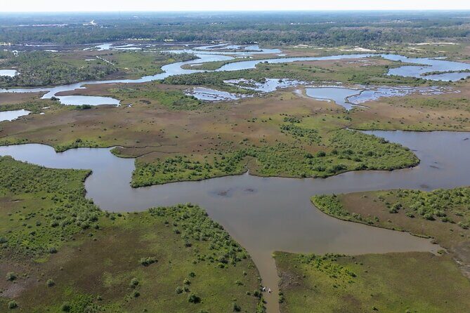 2-Hour Glass Bottom Guided Eco Tour in Flagler County-Small-group - The Experience: What You’ll Actually Do