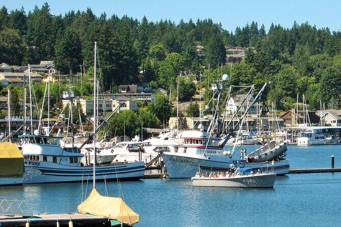 2 Hour Guided Boat Tour in Gig Harbor and Narrows Bridges - Who Should Book This Tour?
