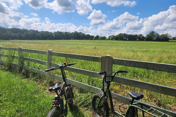 2 hour Guided E-Bike Tour: Greenery, Scenery and Mindfulness - Key Points