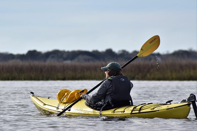 2-Hour Guided Kayak Eco Tour in Charleston - What You’ll Experience