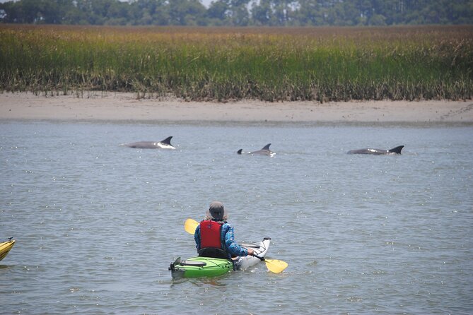 2-Hour Guided Kayak Eco Tour in Charleston - Practical Details: What to Know Before You Go