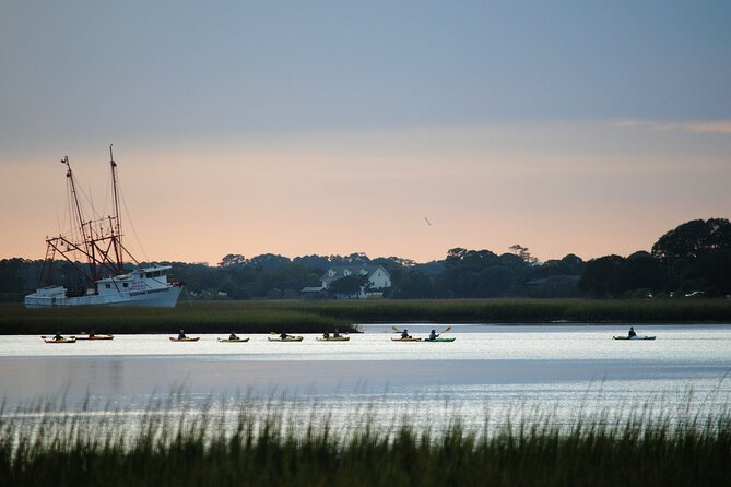 2-Hour Guided Kayak Eco Tour in Charleston - A Closer Look at the Cost and Value
