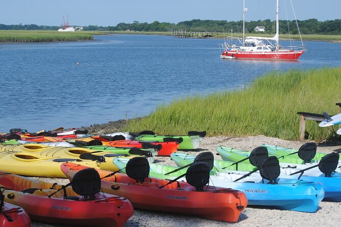 2-Hour Guided Kayak Eco Tour in Charleston - Who Should Consider This Tour?