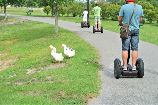2-Hour Guided Segway Tour of Huntington Beach State Park in Myrtle Beach - Who Will Enjoy This Tour?
