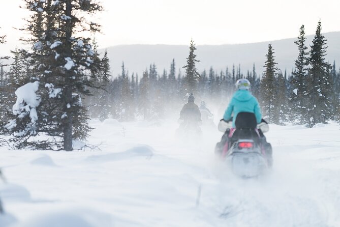 2-Hour Guided Snowmobile Tour in Fairbanks - The Scenic Trails of Fairbanks