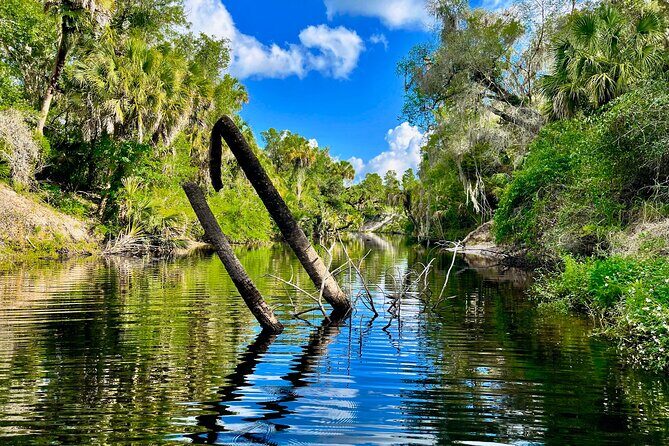 2 Hour Guided Stand Up Paddle Board Tour along Upper Manatee River - The Experience in Detail