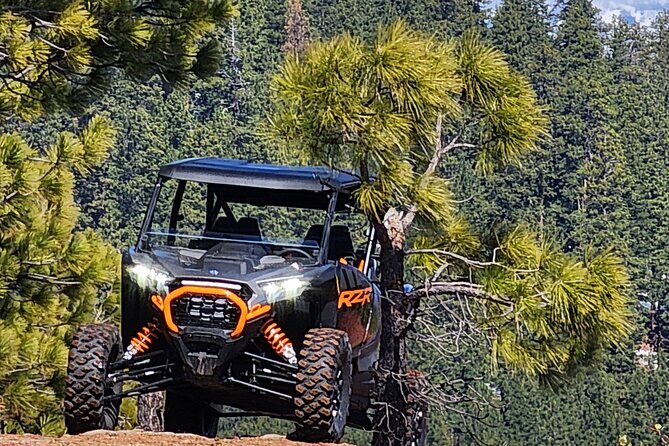 2 Hour High Cascades Scenic ATV Tour in Bend Oregon - Authentic Experiences and Genuine Value