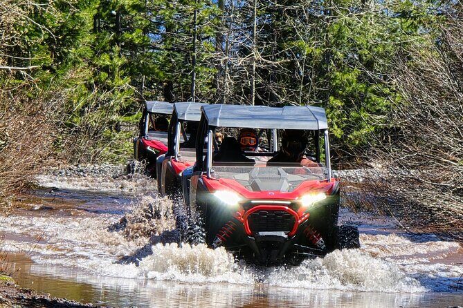 2 Hour High Cascades Scenic ATV Tour in Bend Oregon - The Sum Up