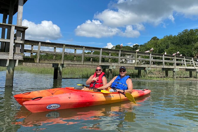 2-Hour Hilton Head Guided Kayak Nature Tour - Exploring Hilton Head’s Kayak Nature Tour: A Practical Review