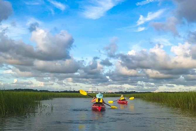 2-Hour Hilton Head Guided Kayak Nature Tour - The Itinerary Breakdown