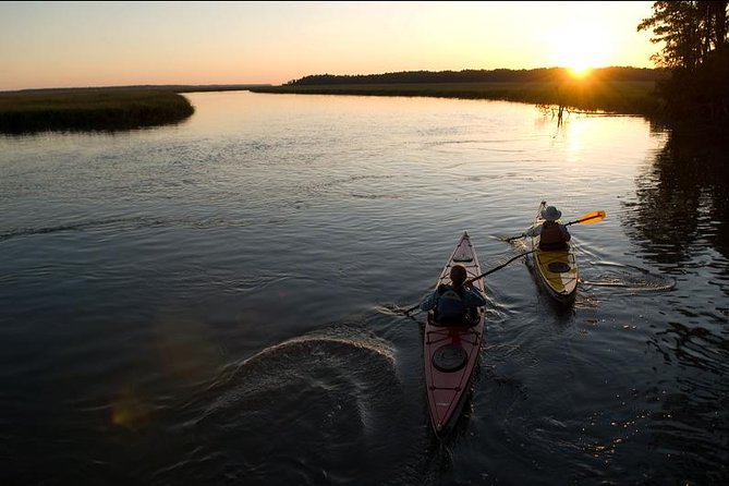 2-Hour Hilton Head Guided Kayak Nature Tour - The Value of the Experience