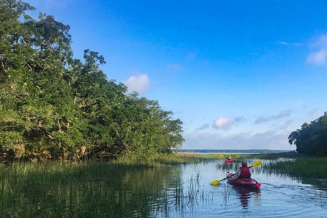 2-Hour Hilton Head Guided Kayak Nature Tour - Overall Experience: Authentic, Educational, and Fun