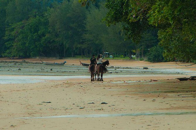 2 Hour Horse Riding Tour On The Beach Krabi - Why This Tour Offers Great Value
