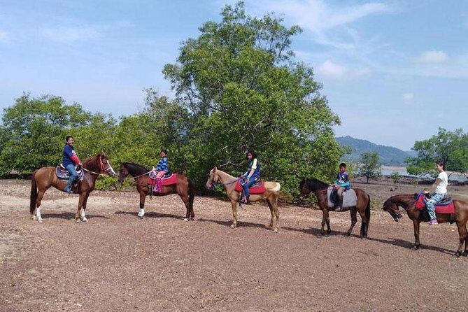 2 Hour Horse Riding Tour On The Beach Krabi - Practical Tips for Your Ride