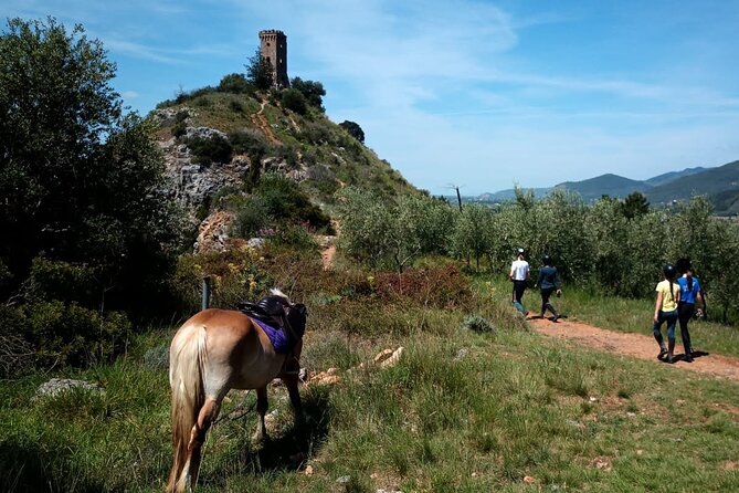 2 hour horseback ride for experts in Valgraziosa (Pisa) - Key Points