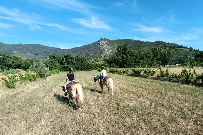 2 hour horseback ride for experts in Valgraziosa (Pisa) - What Makes This Tour Special