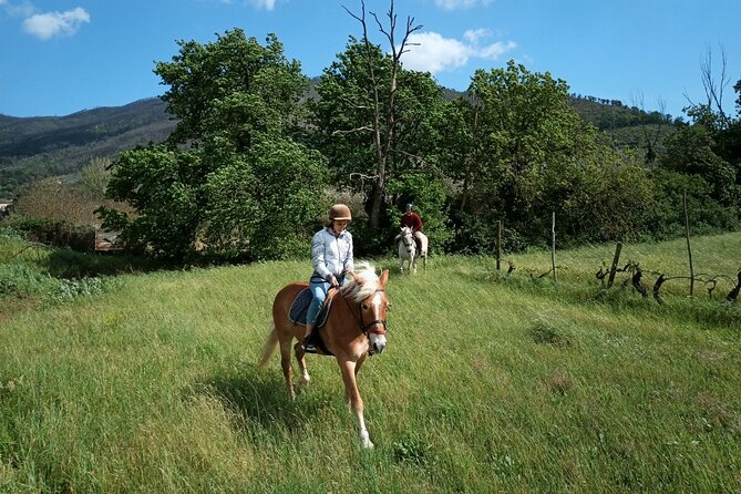 2 hour horseback ride for experts in Valgraziosa (Pisa) - The Logistics: What You Need to Know