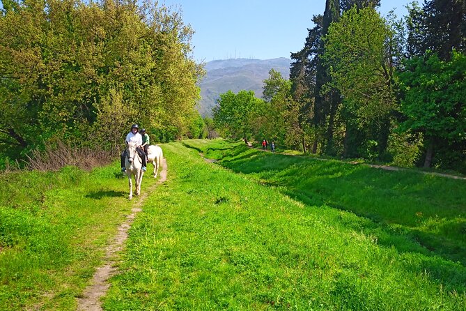 2 hour horseback ride for experts in Valgraziosa (Pisa) - The Value of the Experience