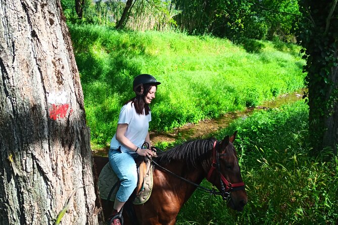 2 hour horseback ride for experts in Valgraziosa (Pisa) - Who Should Book This Tour?