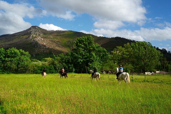 2 hour horseback ride for experts in Valgraziosa (Pisa) - The Sum Up