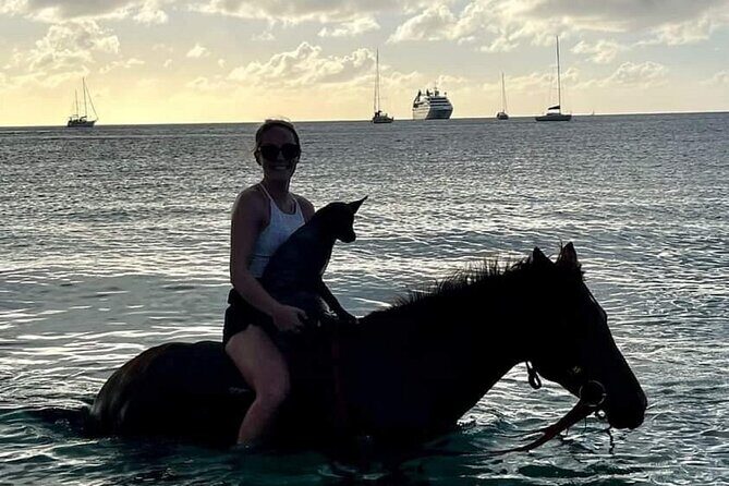 2 Hour Horseback Riding Sunset Tour with Dore's Riding Stable - Authentic Feedback from Past Travelers