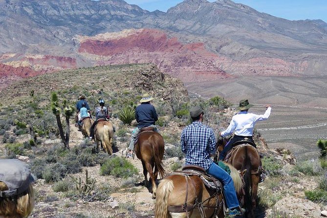 2-Hour Horseback Riding through Red Rock Canyon - Who Should Consider This Tour?