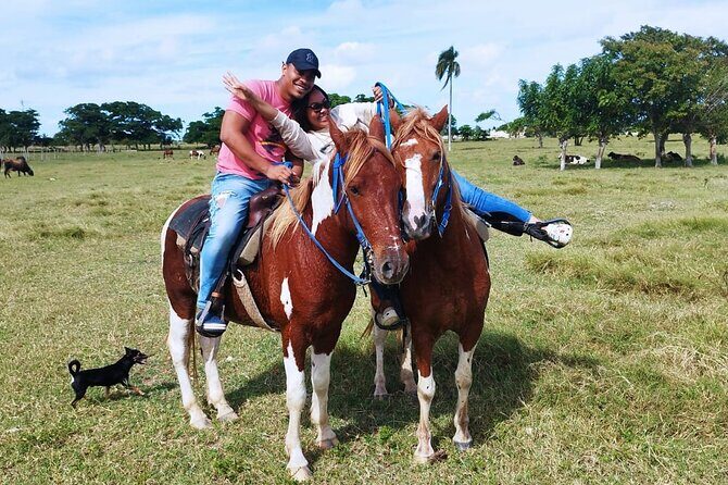 2-Hour Horseback Riding Tour at Sunset from Punta Cana - Key Points
