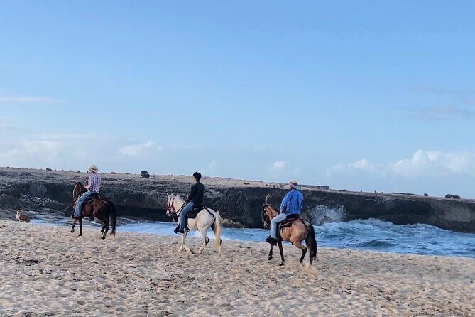 2-Hour Horseback Riding Tour to Little Natural Bridge in Aruba - Final Thoughts