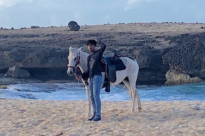 2-Hour Horseback Riding Tour to Little Natural Bridge in Aruba - FAQs