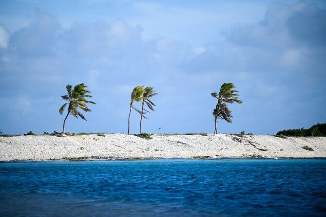 2 hour Individual Guided South Island Tour for Singles/Couples - Who Should Consider This Tour?