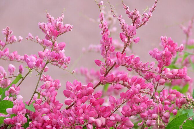 2 Hour Individual Island South Tour on Bonaire for 1 - 12 persons - What to Expect From This Bonaire Tour