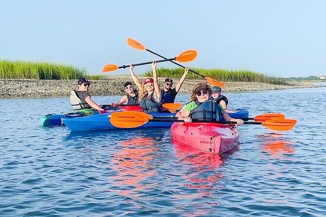 2 Hour Kayak Hilton Head Dolphin and Nature Tour - What to Expect on the Water