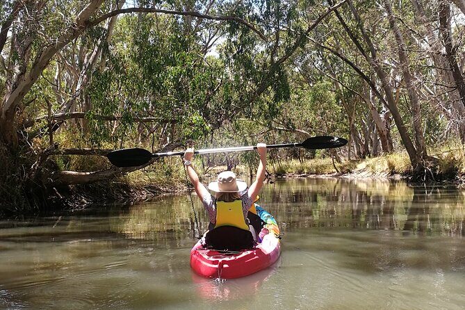 2-Hour Kayaking Experience in Barossa Valley - Who Will Love This Experience?