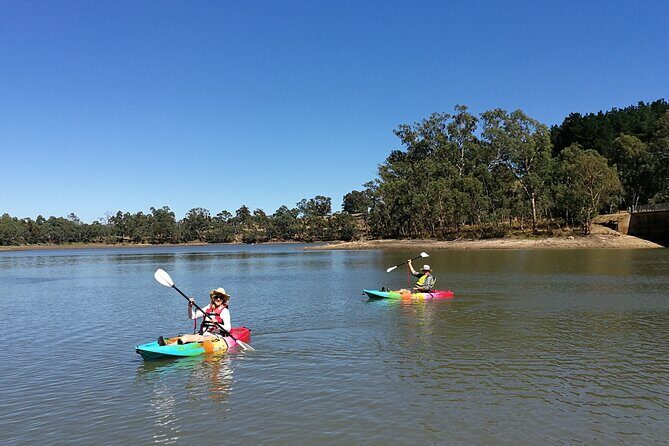 2-Hour Kayaking Experience in Barossa Valley - FAQs
