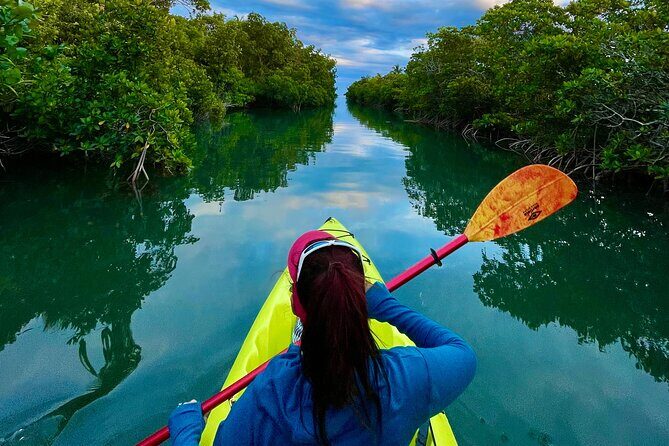 2 Hour Key West Kayak Rental  Discover Mangroves & Wildlife! - An In-Depth Look at the Kayak Adventure