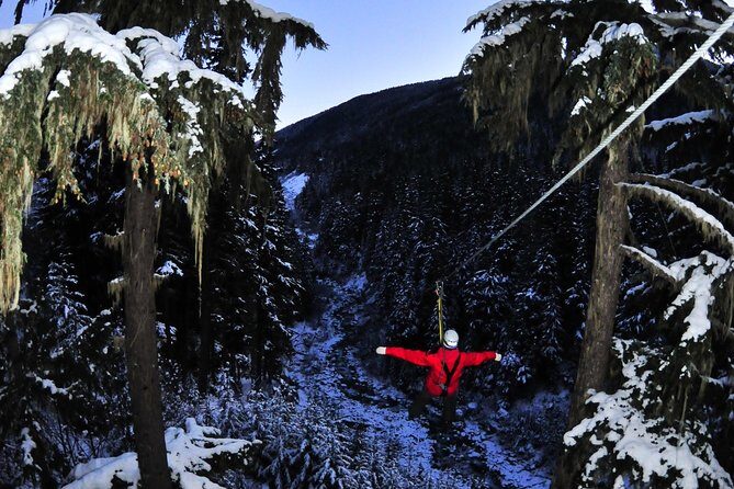 2 Hour Late Afternoon Winter Zipline Adventure - Who Should Consider This Tour?