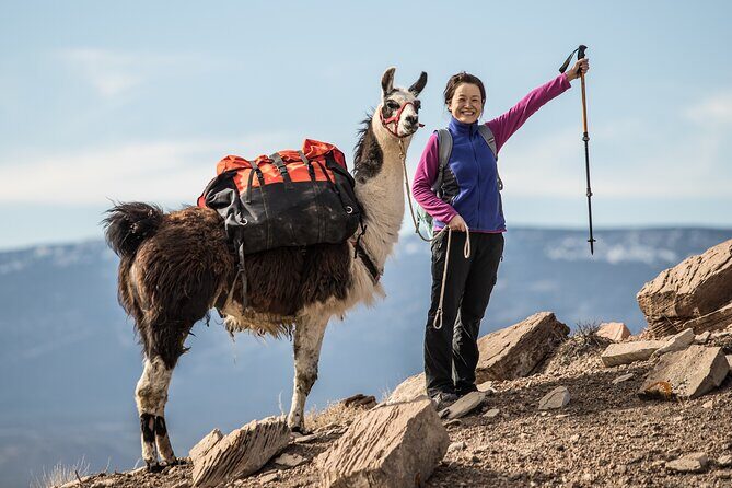 2-Hour Llama Hike - Exploring the Water Fold Pocket and Beyond