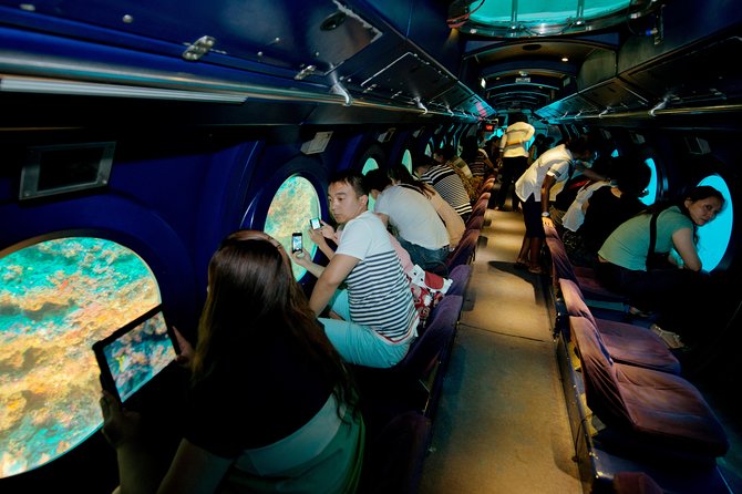 2-Hour Maldives Submarine Tour From Male - The Marine Environment and Sightings