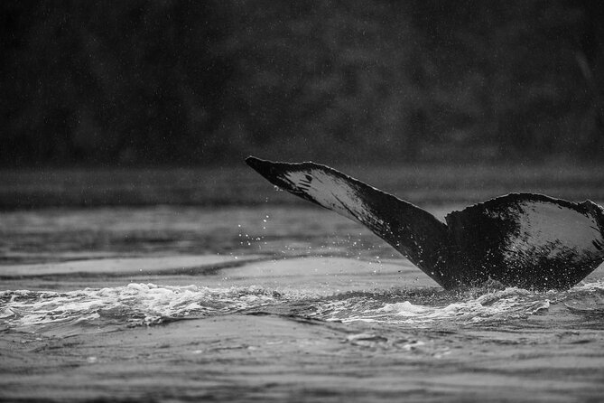 2-Hour Marine Wildlife Tour in Sitka - Booking and Cancellation Policies